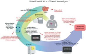 Application of neoantigens in personalized cancer immunotherapy