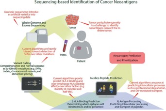 Application of neoantigens in personalized cancer immunotherapy