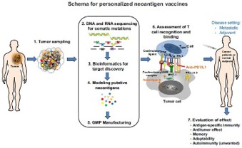 Application of neoantigens in personalized cancer immunotherapy